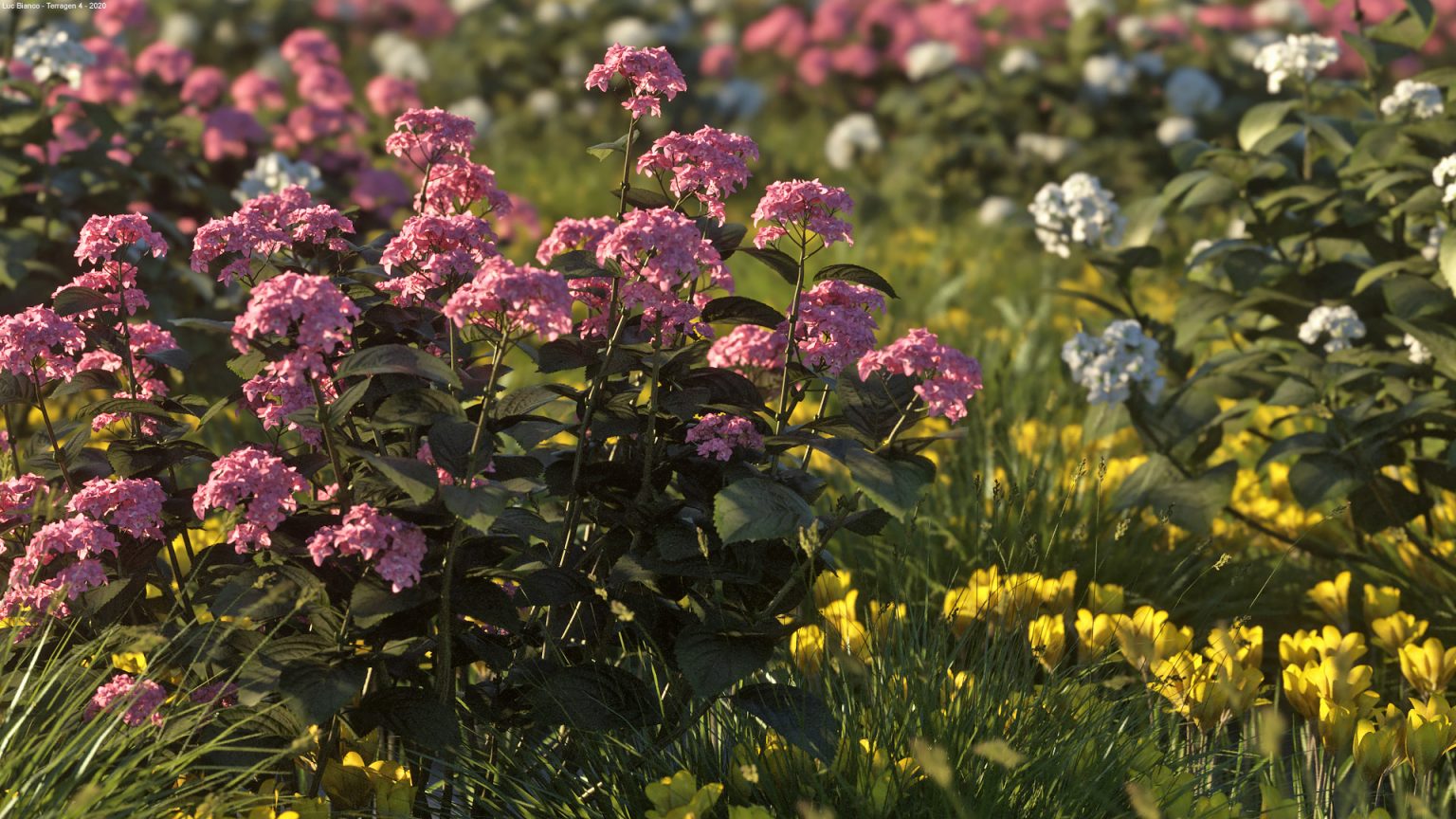 Planetside Software – The home of Terragen – Photorealistic 3D ...